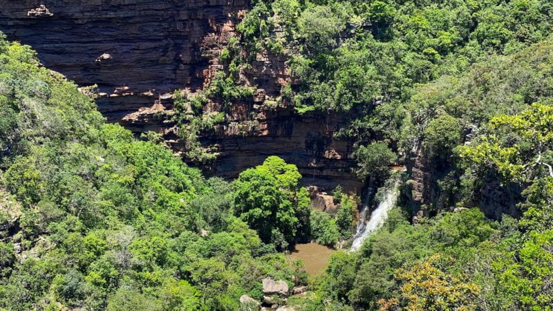 Kloof Conservancy | TREESynergy